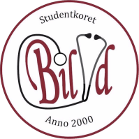 Om oss – Studentkoret Bilyd
